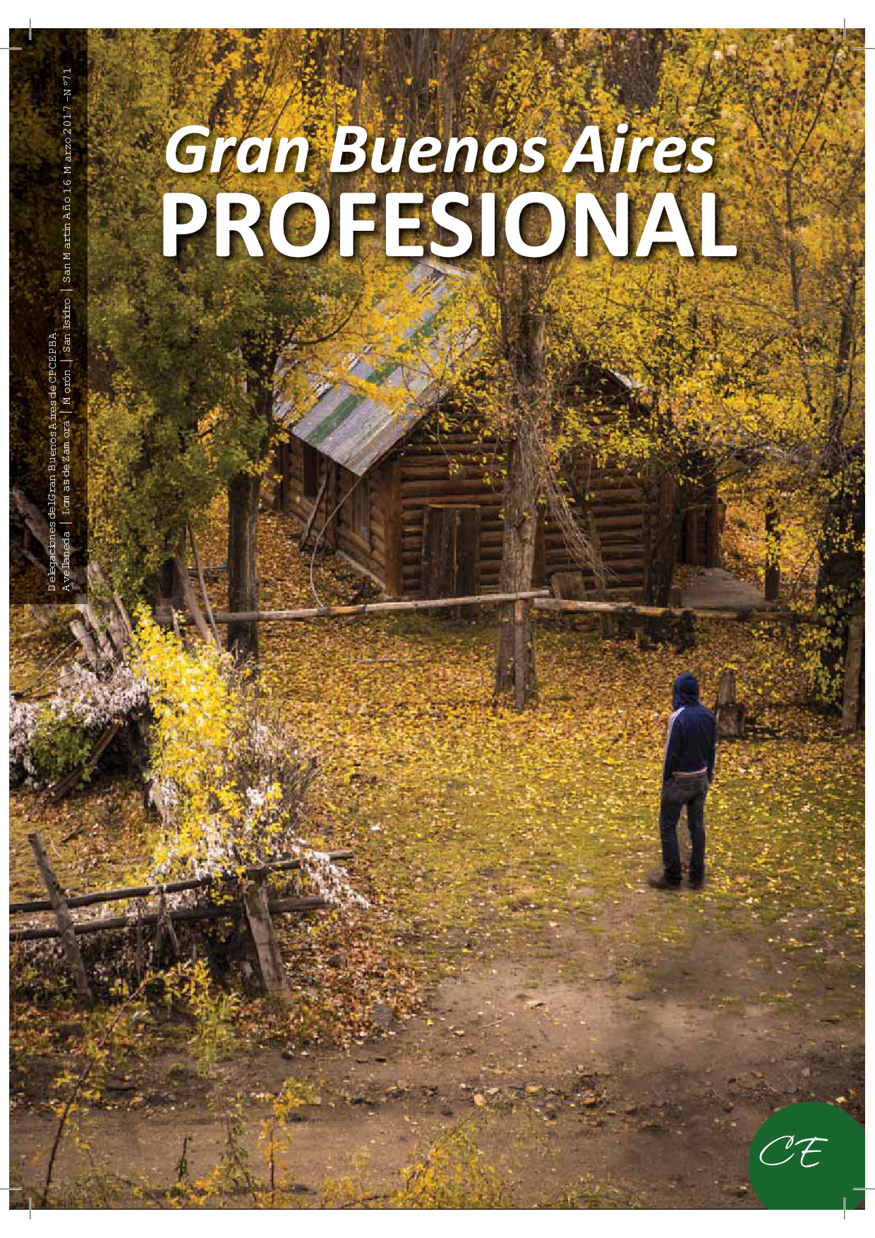 REVISTA Nº 71 - Revista GBA Profesional